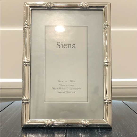 Tizo Design | Accents | Siena Silver Plated Bamboo Frame | Poshmark
